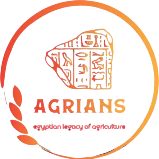 Agrians Egypt | Where Freshness Meets Trust